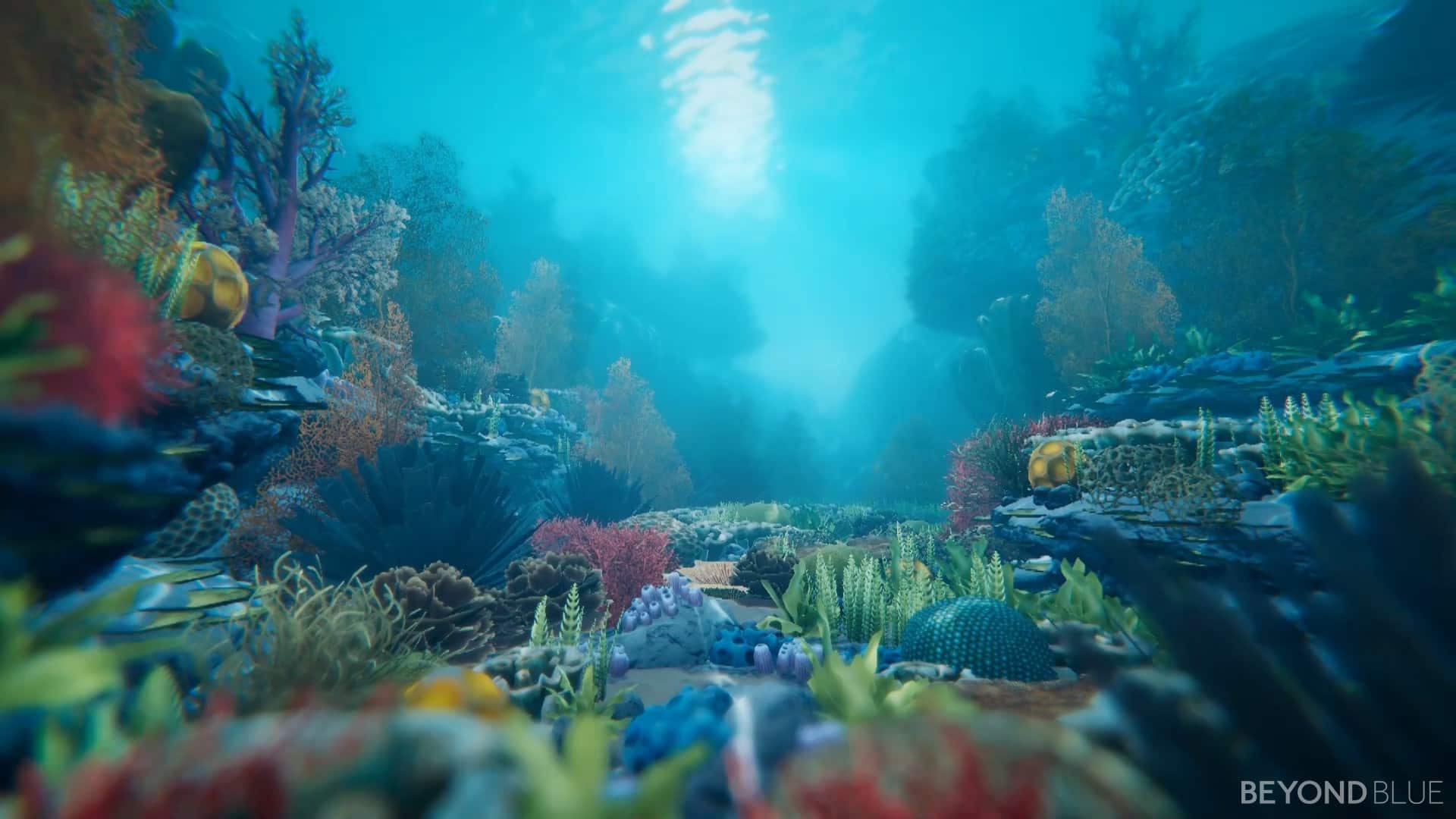 Koupit Beyond Blue (PC) - okamžité doručení